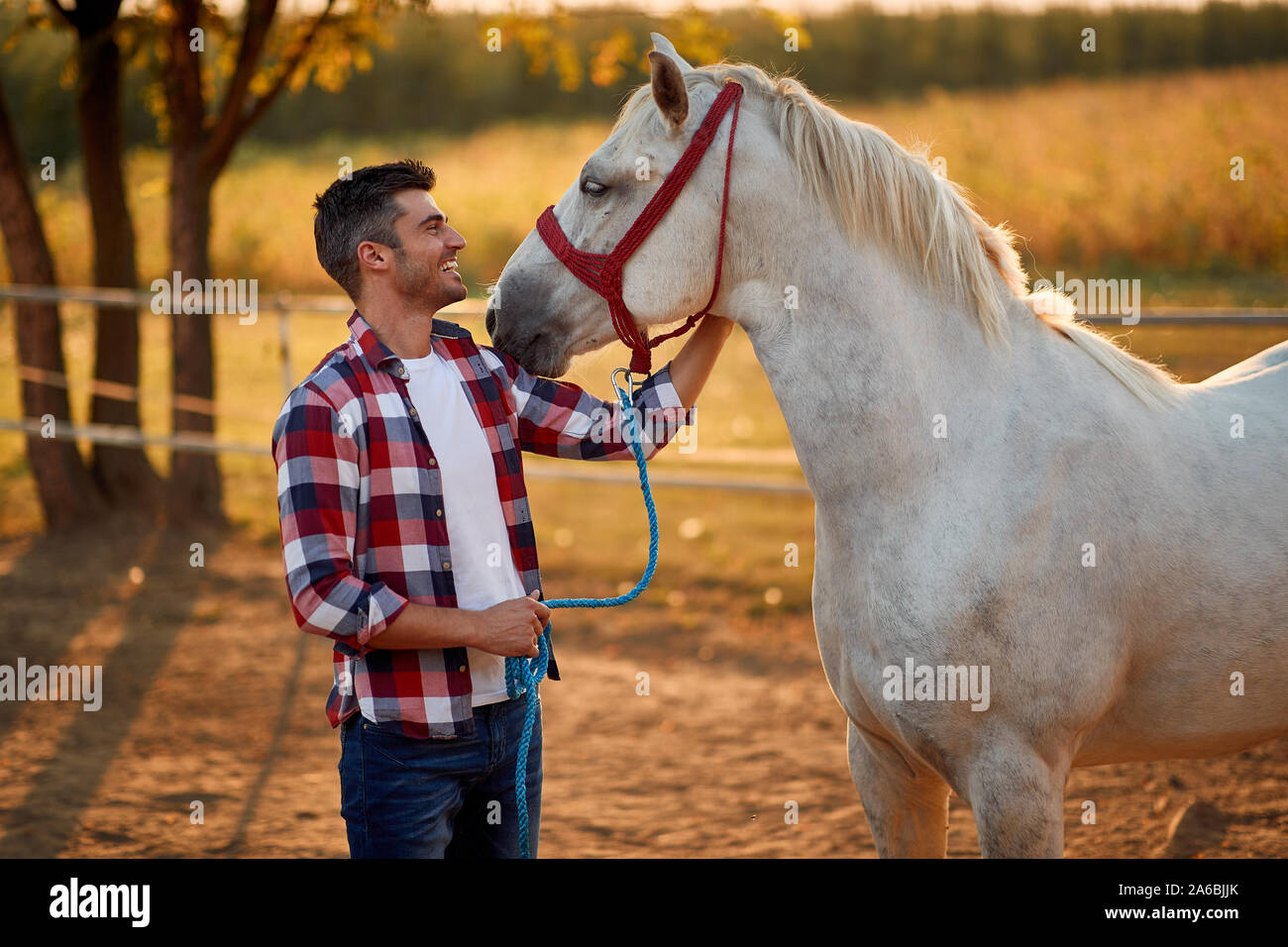 Man and horse. Man have a hobby time, riding. Horses concept Stock ...