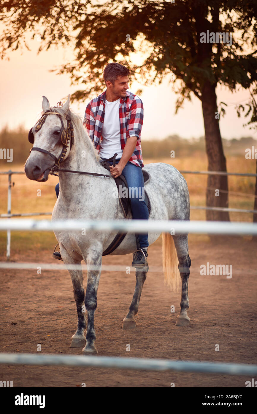 Smiling young man rides a horse on a farm. hobby time, riding Stock ...