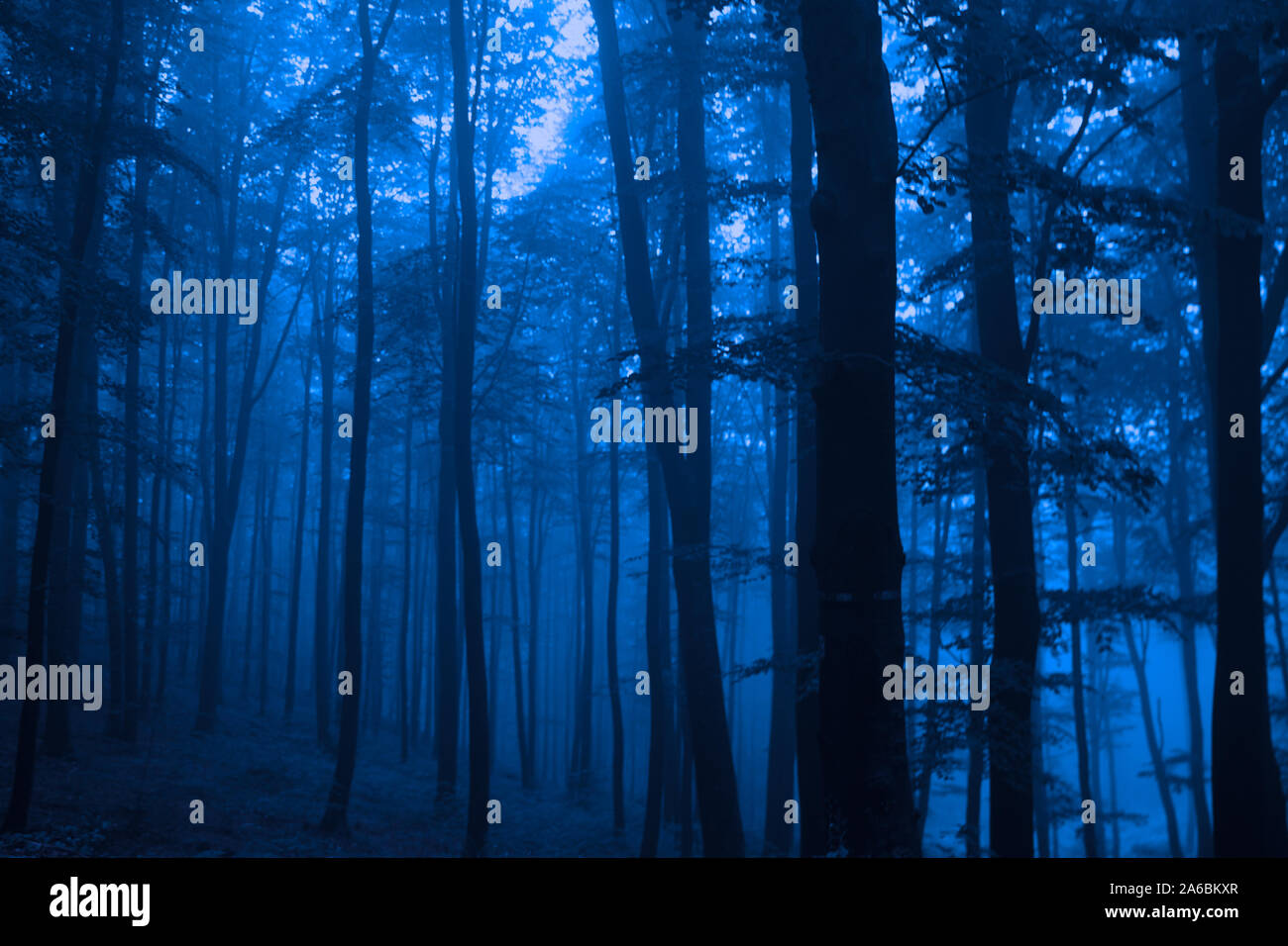 Dark and blue colors hi-res stock photography and images - Alamy