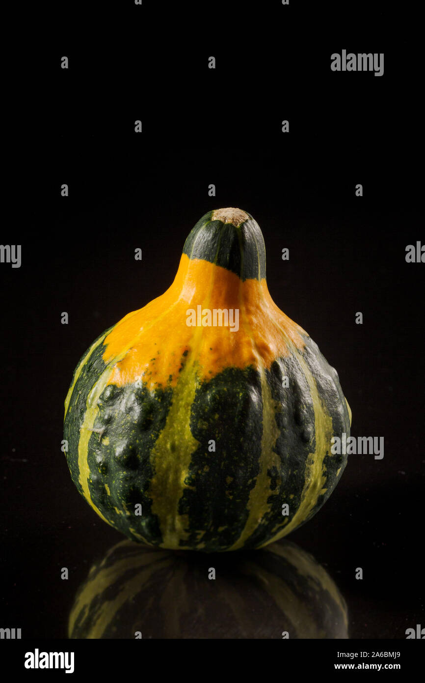 Decorative gourd with dramatic light and a reflection on a black ...