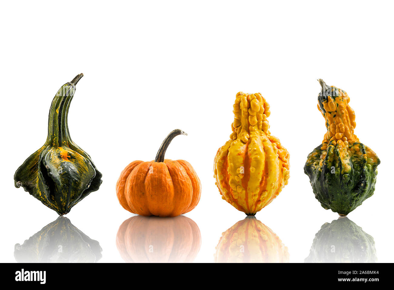 Decorative gourds hi-res stock photography and images - Alamy