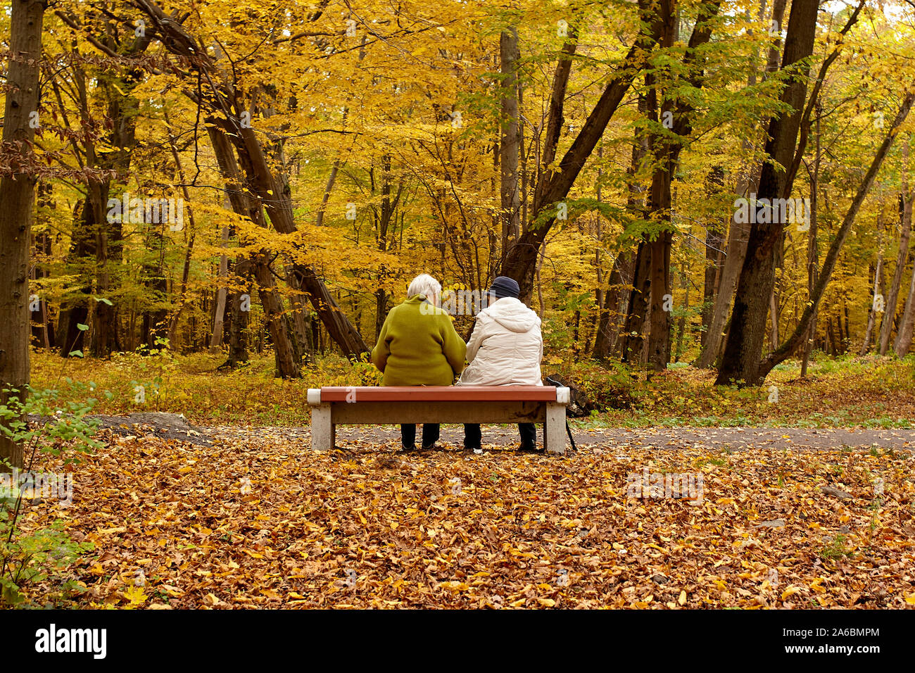 Rest on the bench hi-res stock photography and images - Alamy