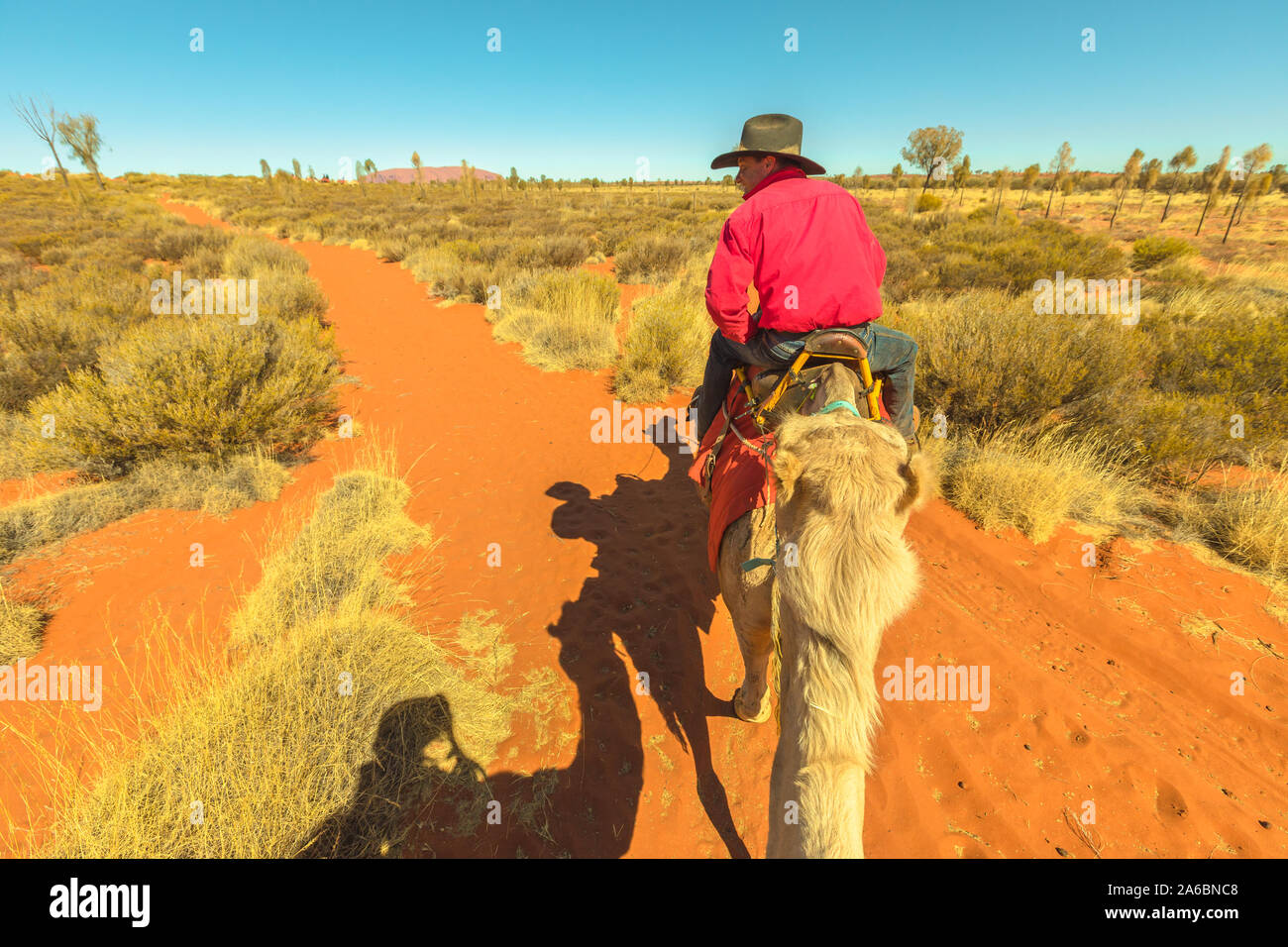 Uluru, Northern Territory, Australia - Aug 22, 2019: Uluru Camel Tours ...