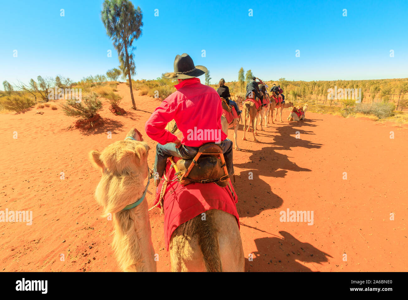 Uluru, Northern Territory, Australia - Aug 22, 2019: Uluru Camel Tours ...