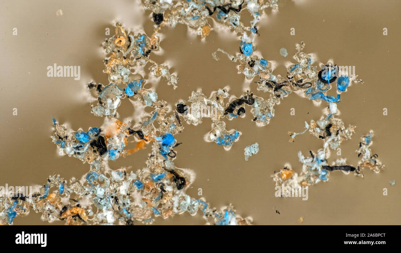 Plastic gets into water basin and gradually destroyed by waves and sun ...