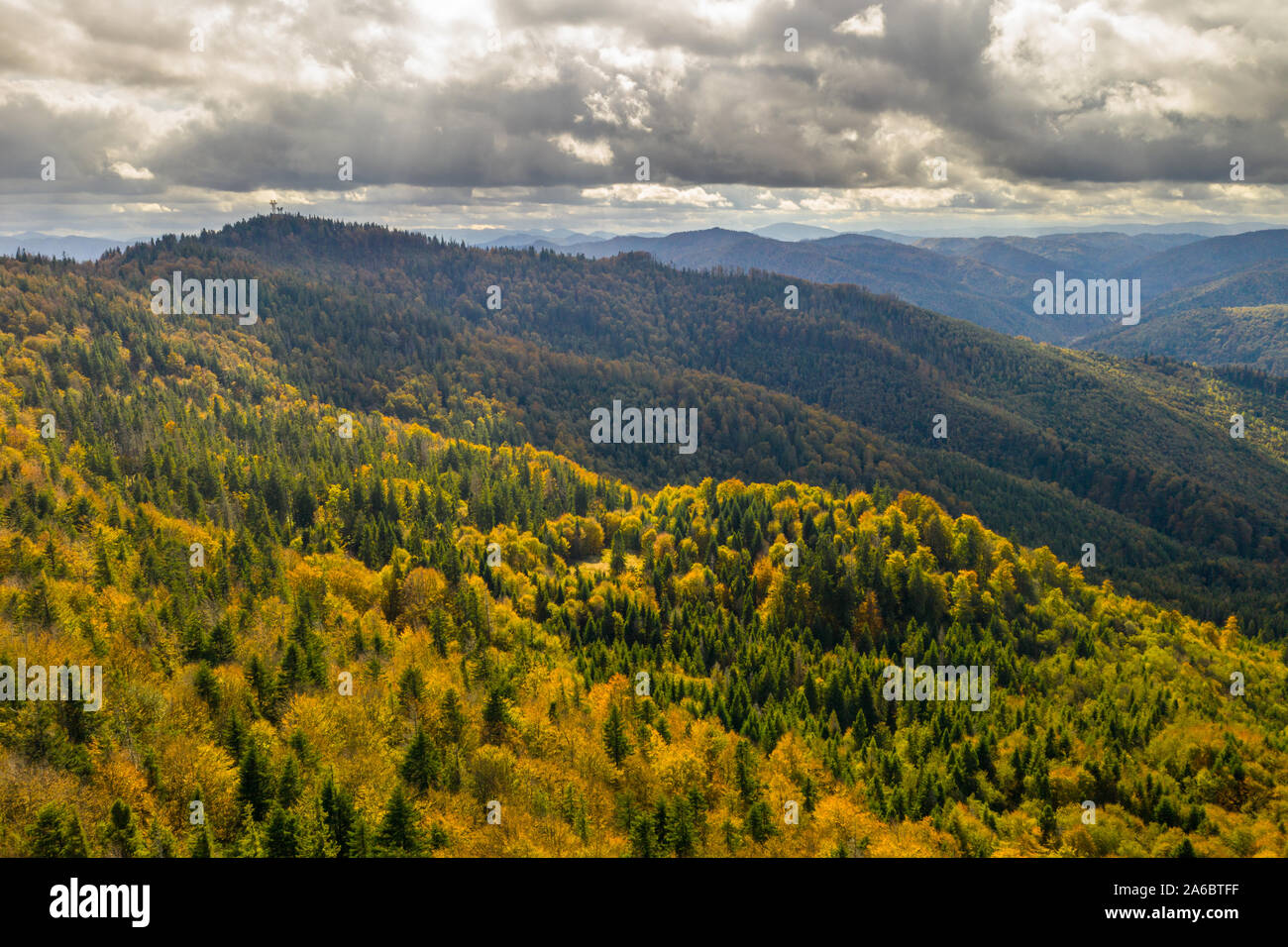 Flying above colorful forest treetops hi-res stock photography and ...