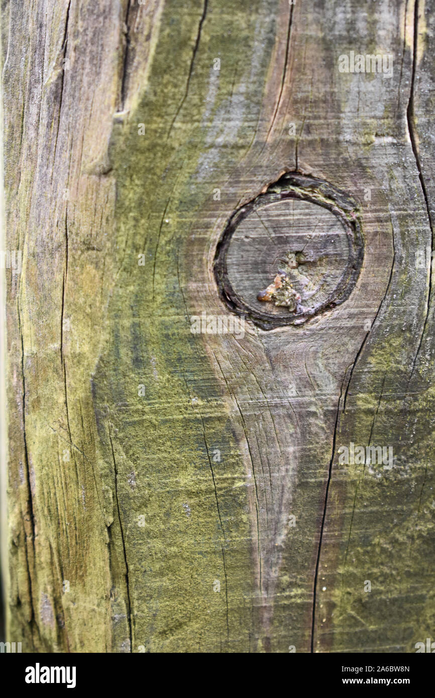 Wooden plank detail hi-res stock photography and images - Alamy