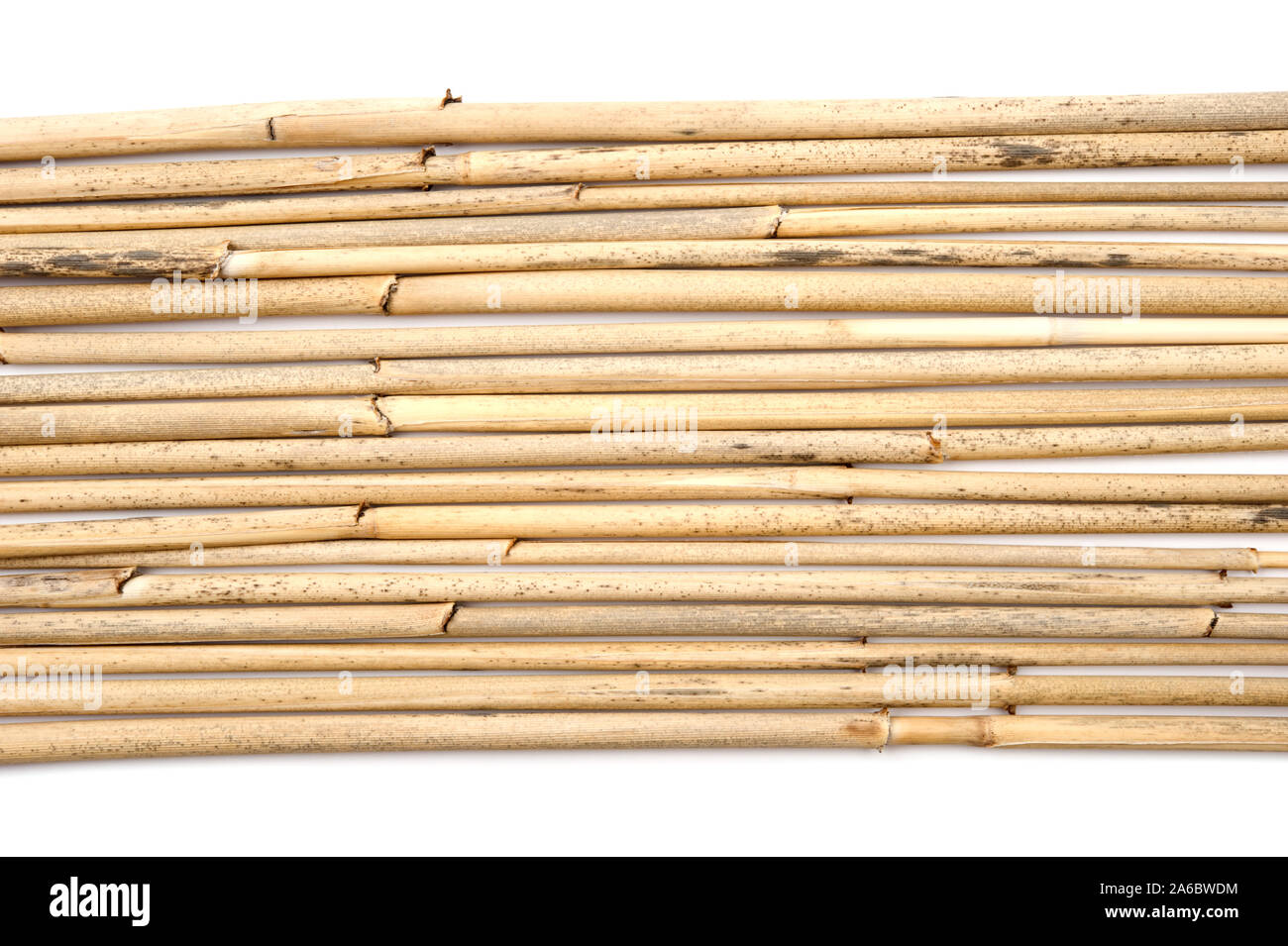 Dried dead stick hi-res stock photography and images - Alamy