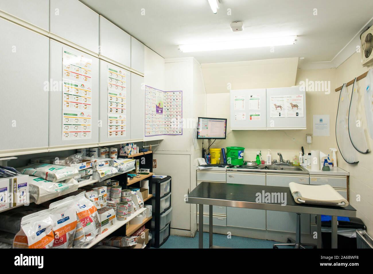 An empty veterinary treatment room Stock Photo - Alamy