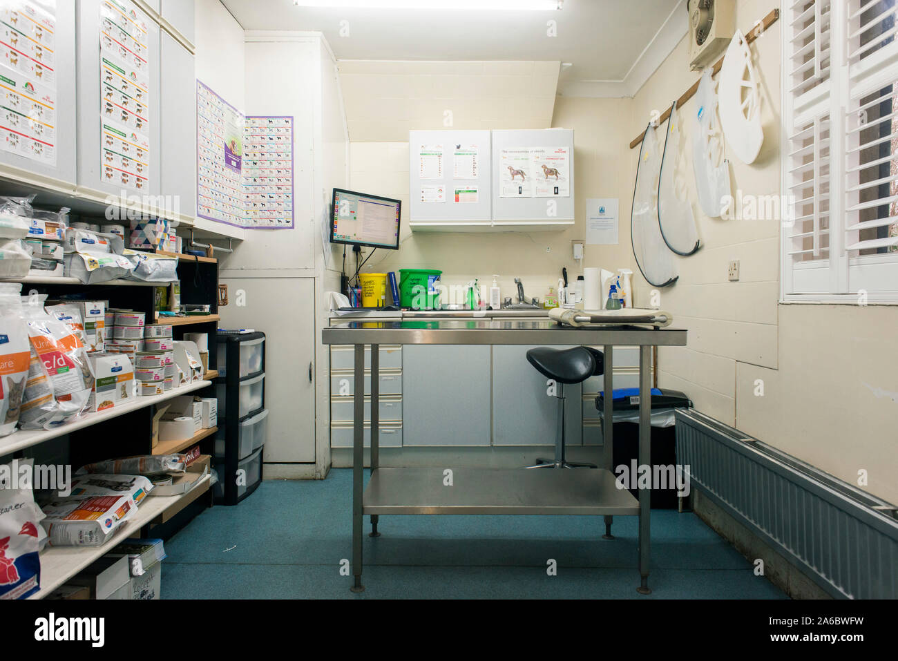 An empty veterinary treatment room Stock Photo - Alamy