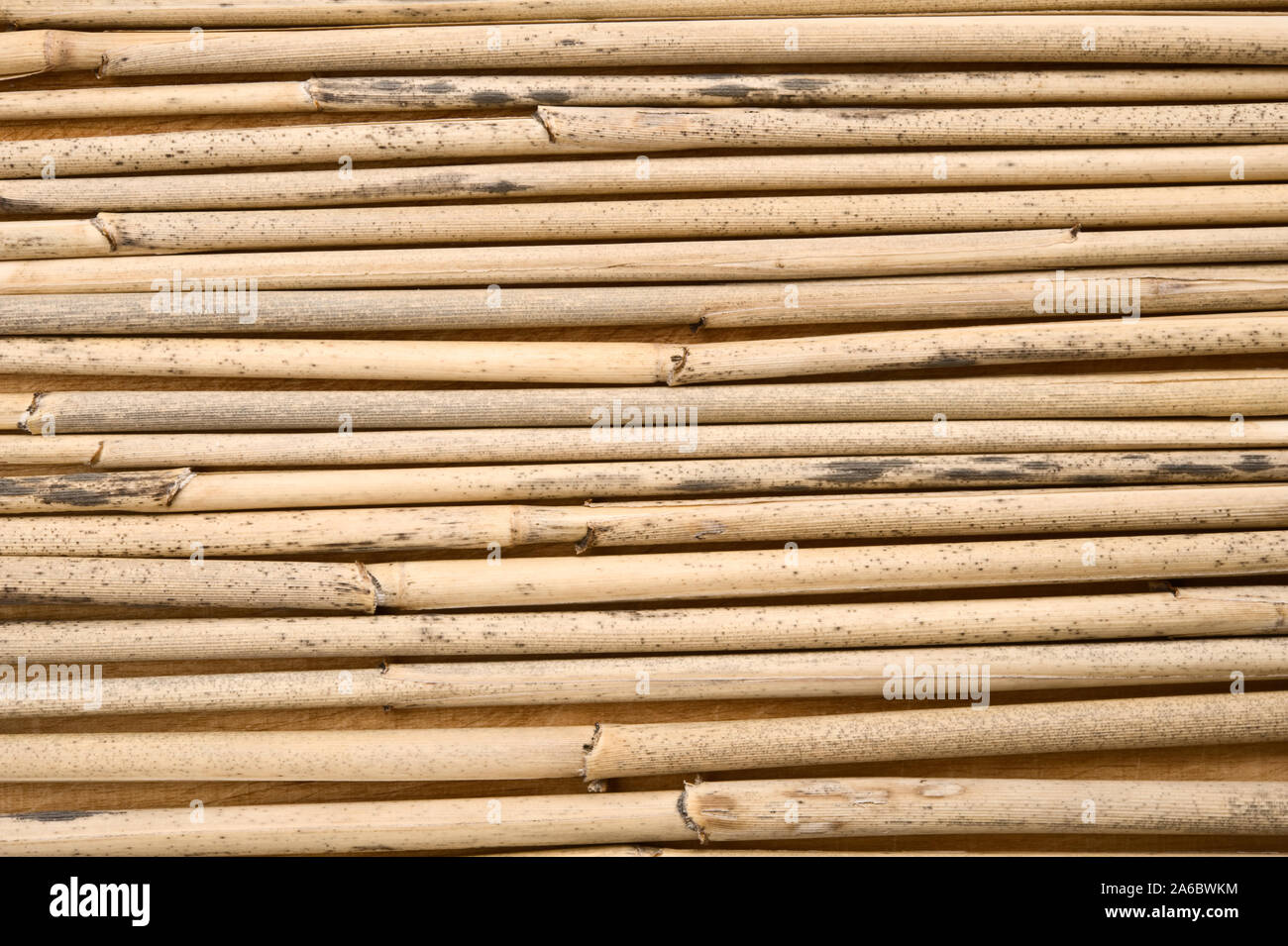 Dried reeds in a row on wooden background Stock Photo - Alamy