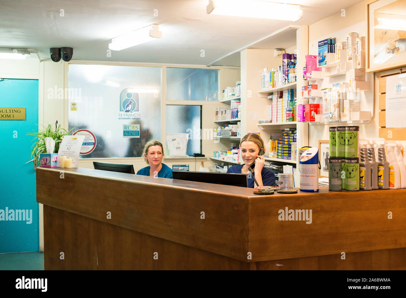 Two female veterinary nurses on the reception of a local vets Stock ...
