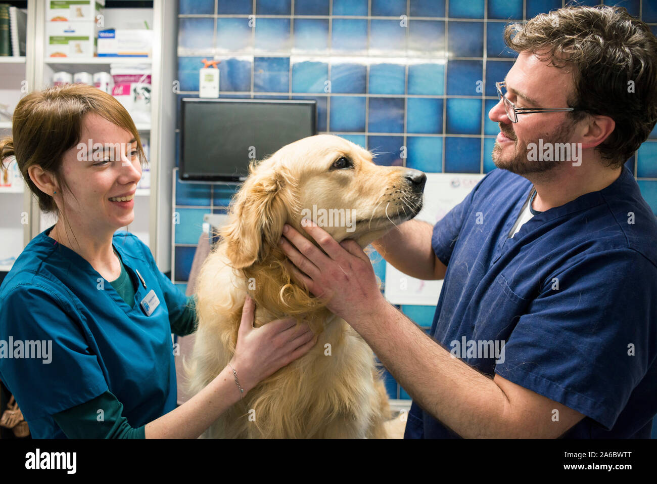 Woman giving dog a treat hi-res stock photography and images - Alamy