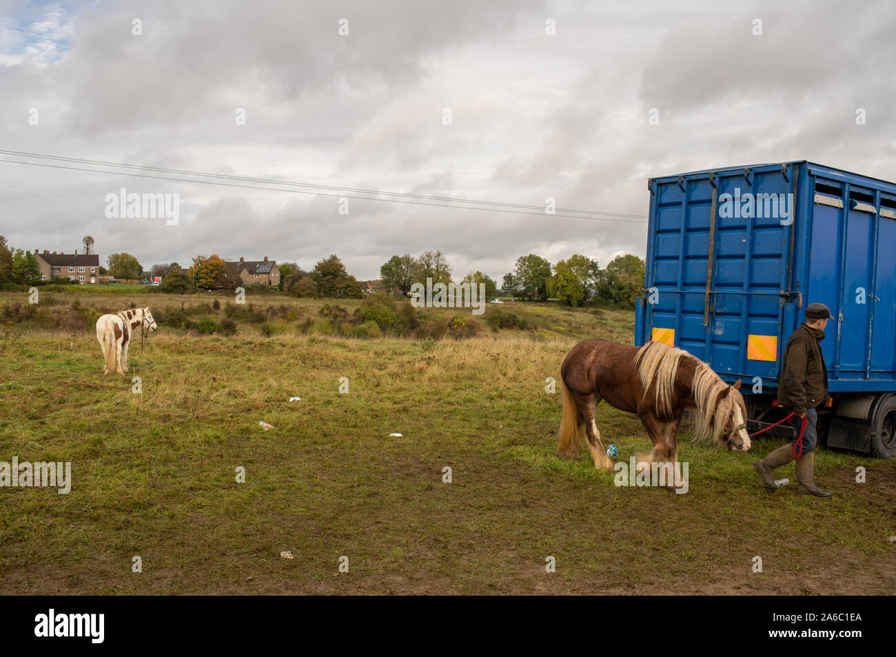 Stow Gypsy Horse Fair, Stow on the Wold, Cotswolds, Glouctershire ...