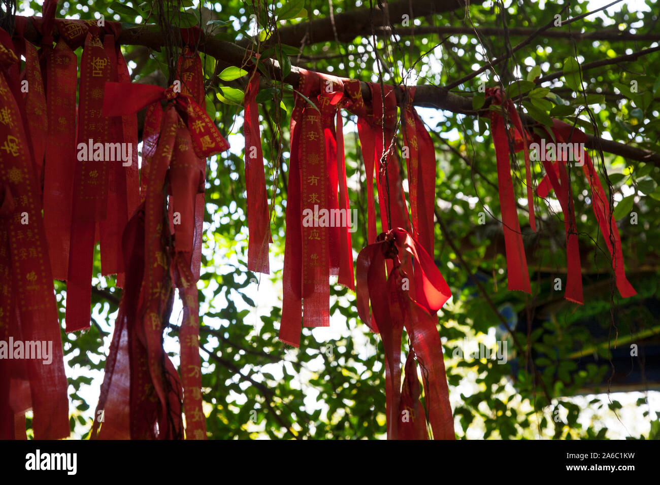 Red prayer ribbons hanging from tree in Ghost City of Fengdu China ...