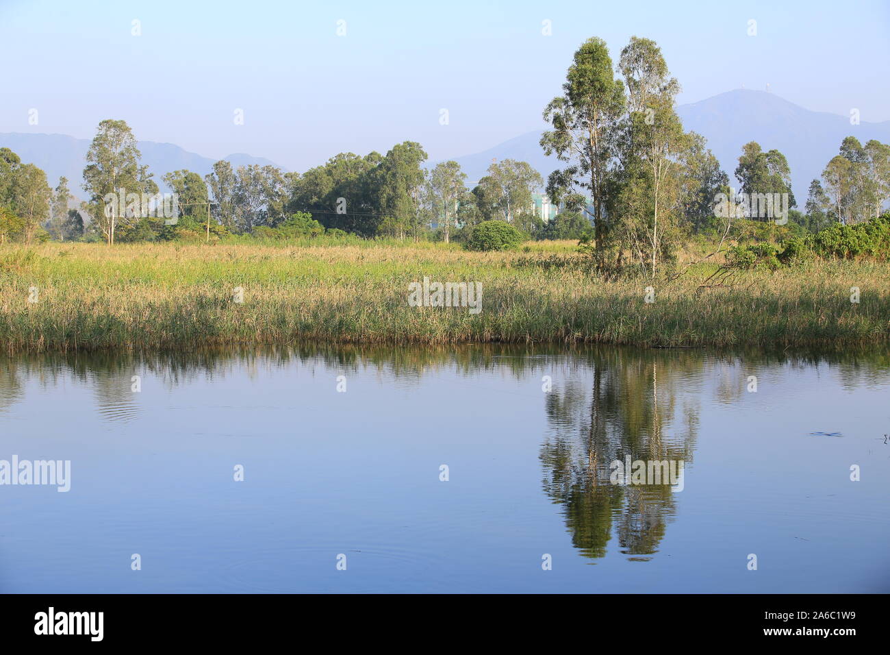 Hong kong wetland park hi-res stock photography and images - Alamy