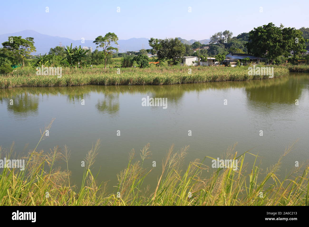 Hong kong wetland park hi-res stock photography and images - Alamy