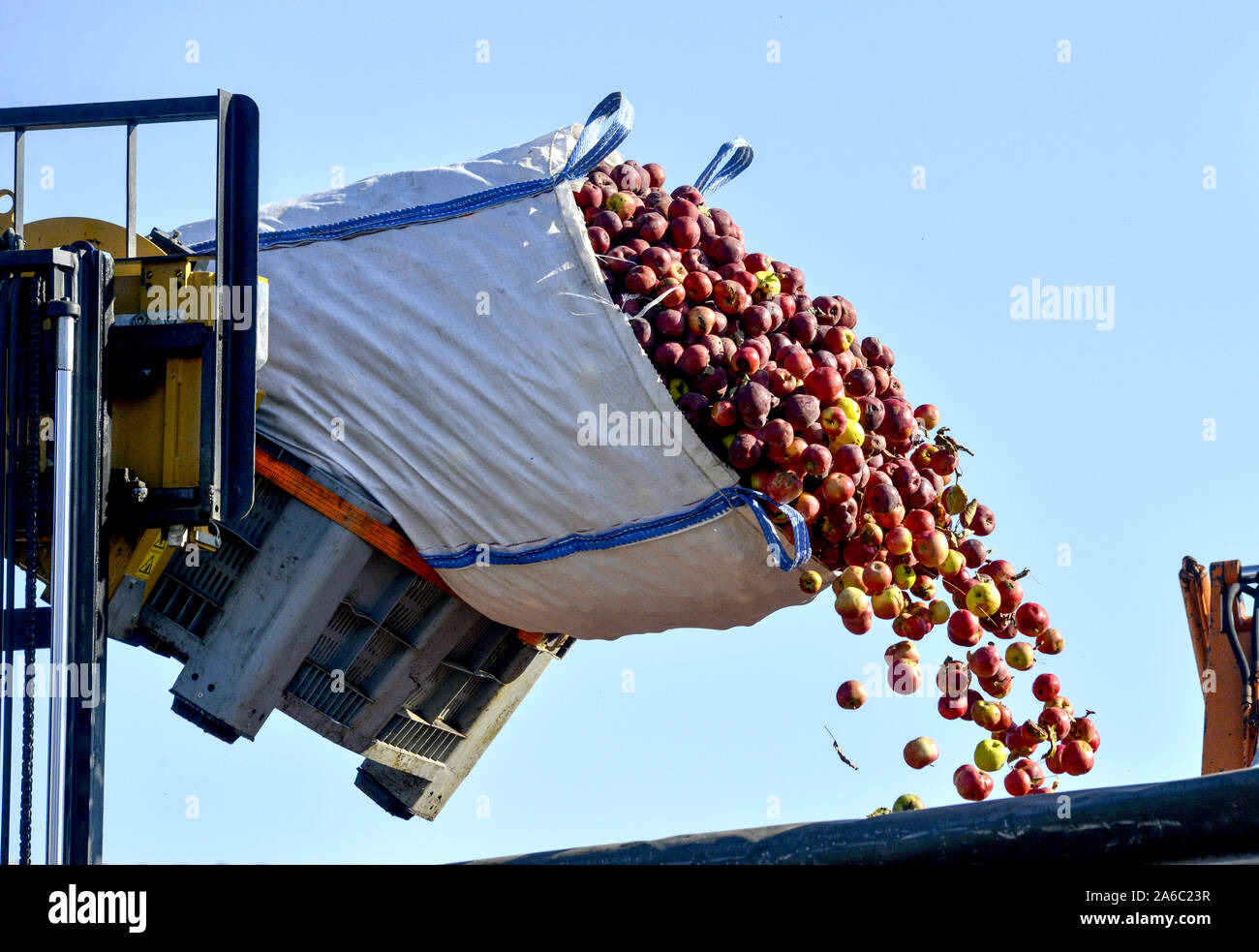 Apple harvesting equipment hi-res stock photography and images - Alamy