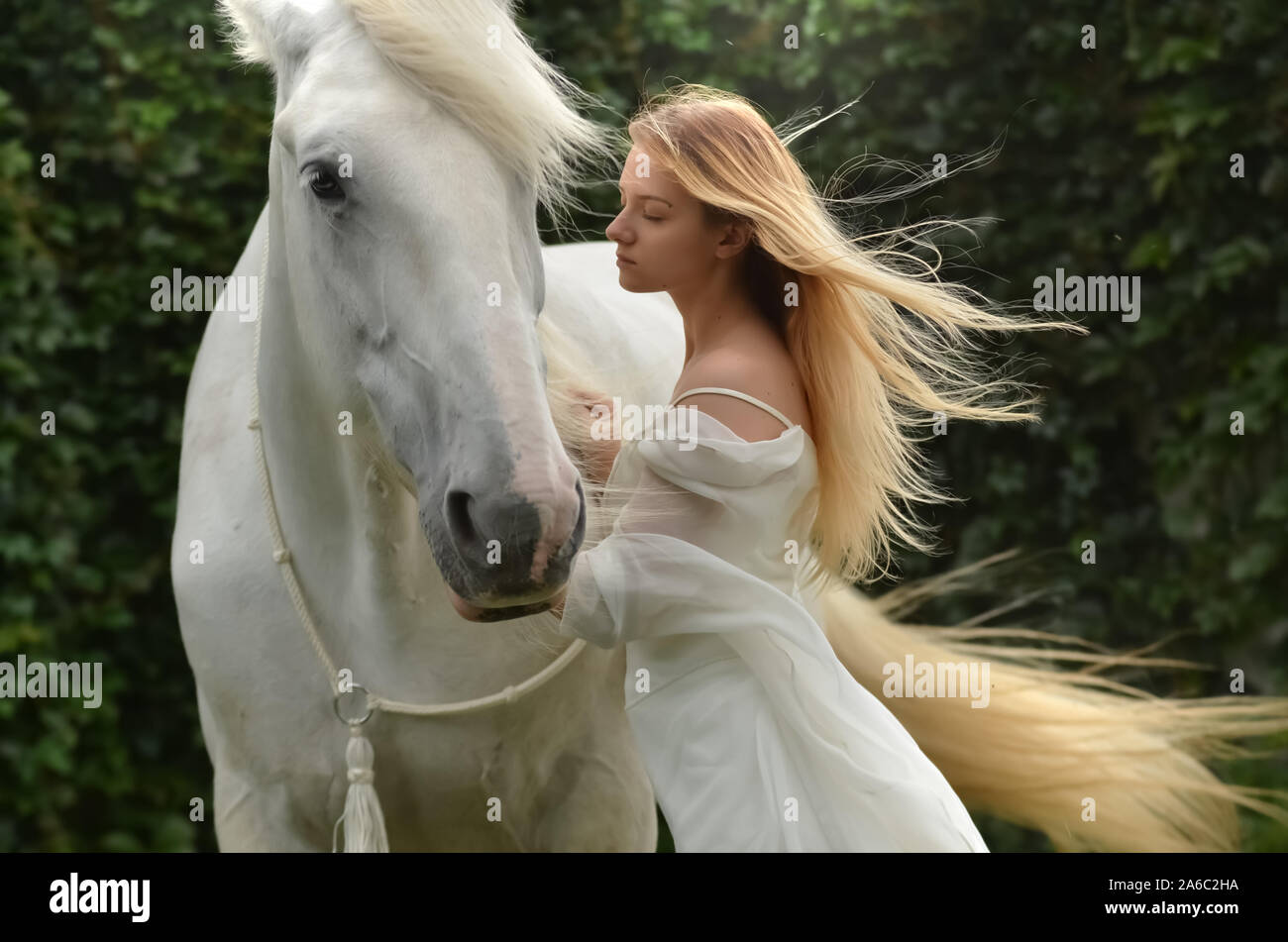 Horse Head Drawing High Resolution Stock Photography and Images - Alamy