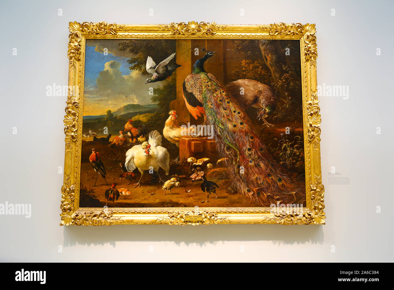 'Menagerie', an oil painting by Dutch artist Melchior de Hondecoeter at ...
