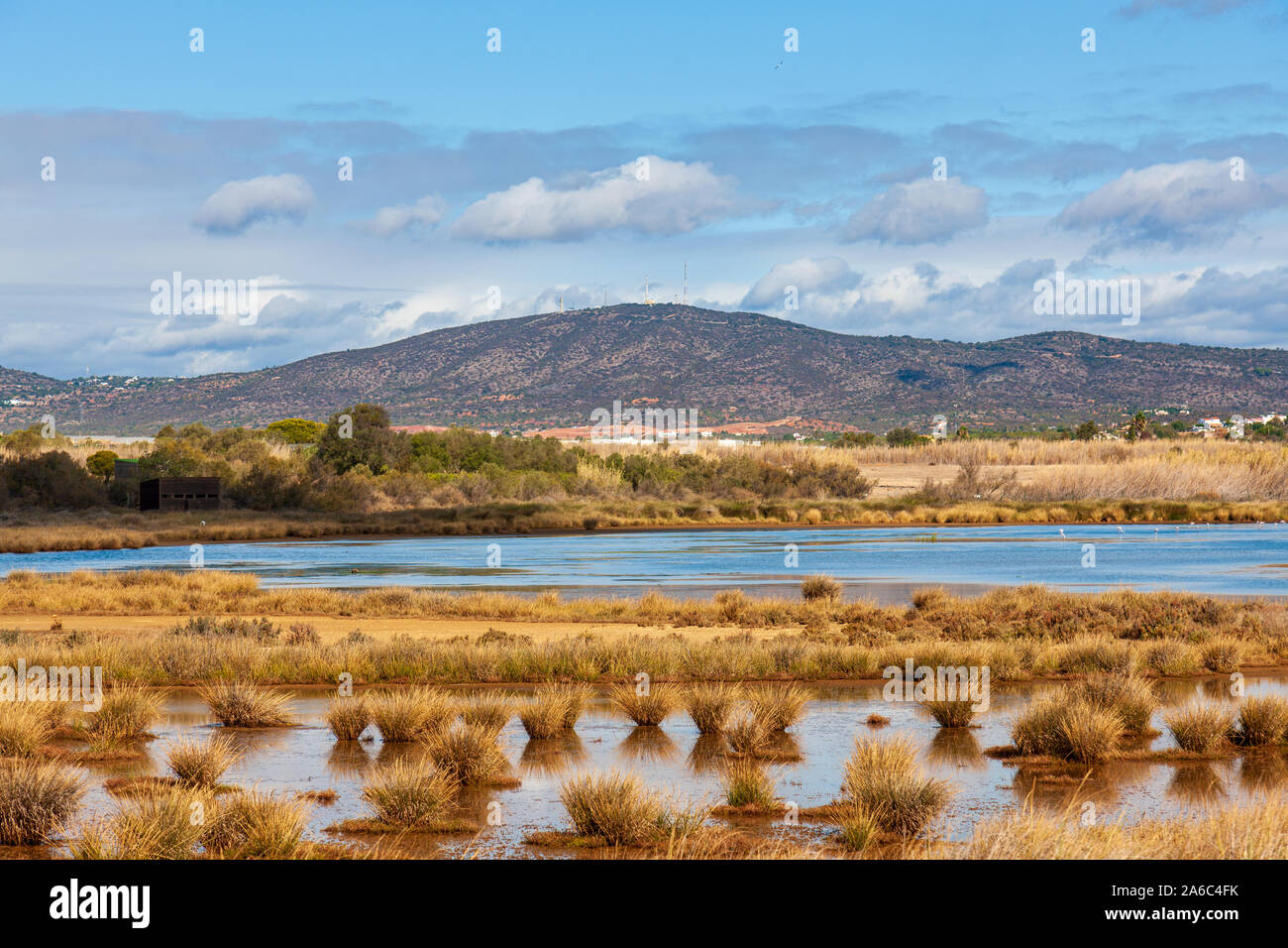 Ria Formosa Natural Park Quinta do Marim Park in Portugal Stock Photo ...