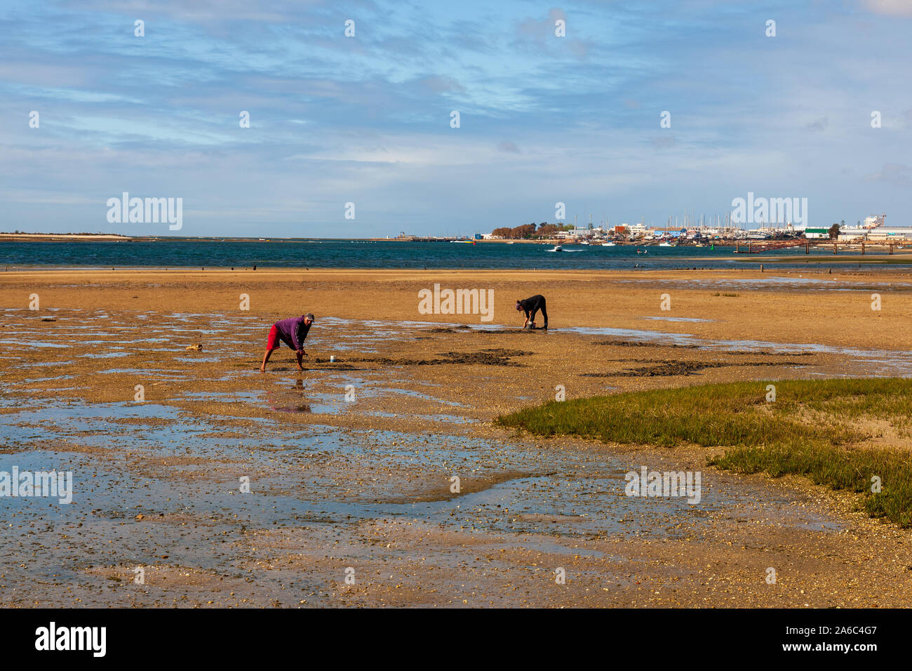 Cockle pickers hi-res stock photography and images - Alamy