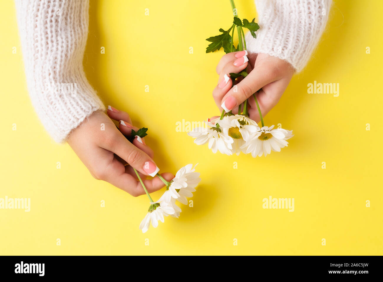 Slender young hands hold flowers, with a thin wrist, clean skin and ...