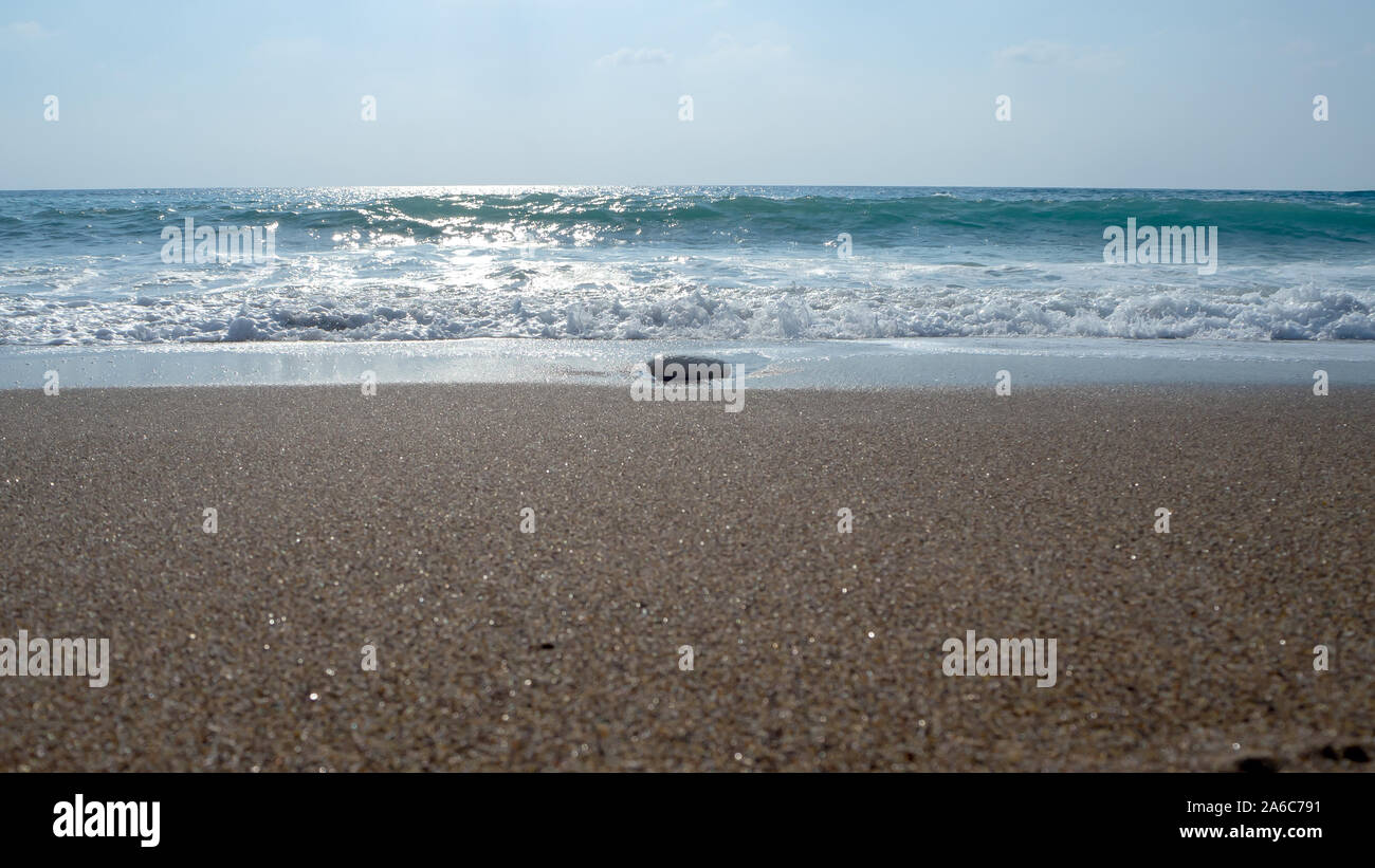 Signed sea green turtle nest on Lara Bay Turtle Beach , Akamas, Cyprus ...
