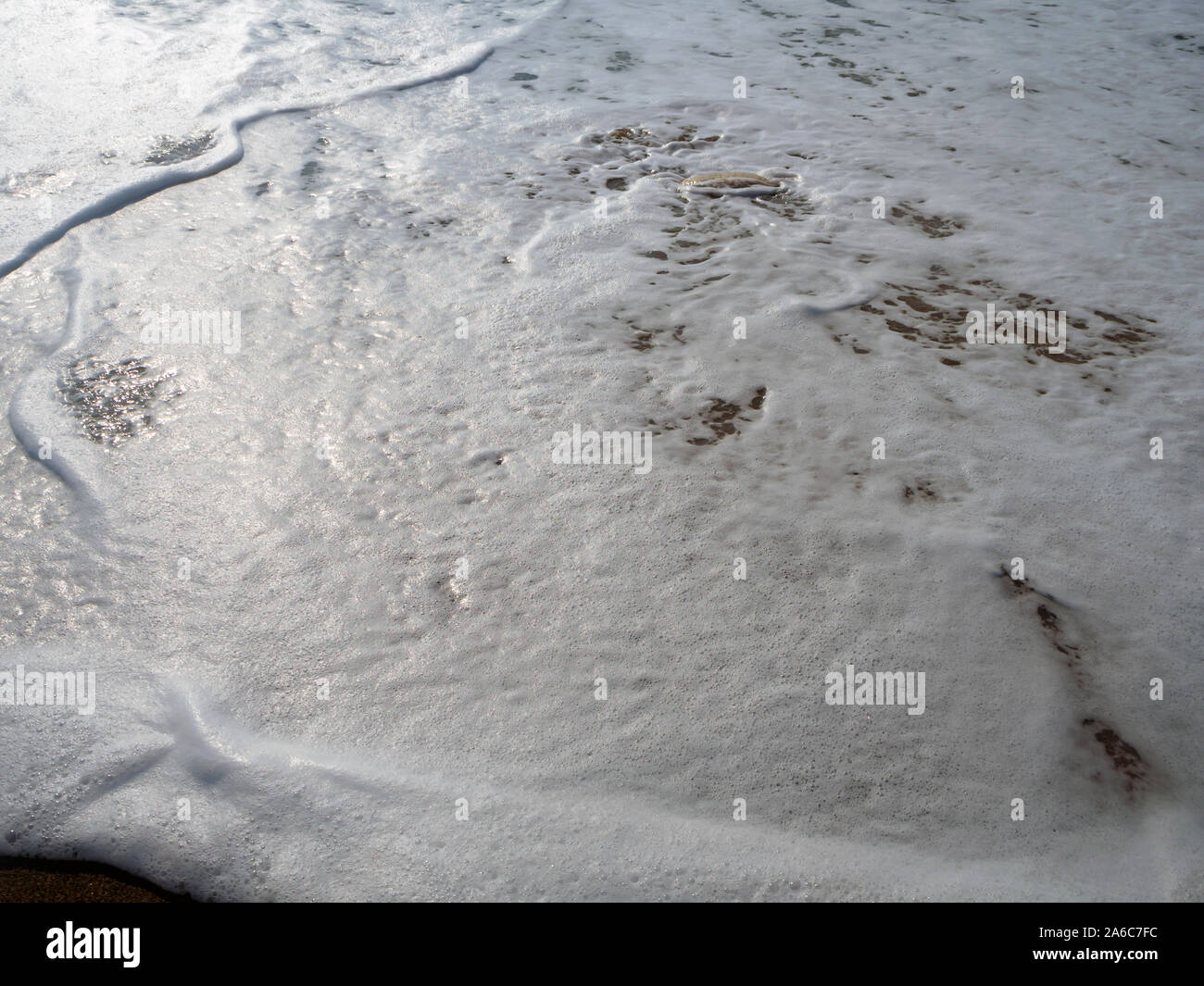 Green sea turtle cyprus hi-res stock photography and images - Alamy