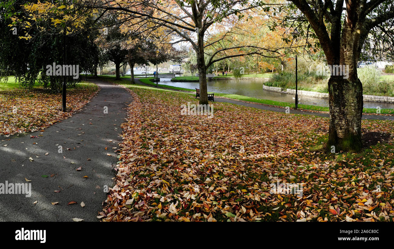 A panoramic image of trees with autumn leaves in Trenance Park in ...