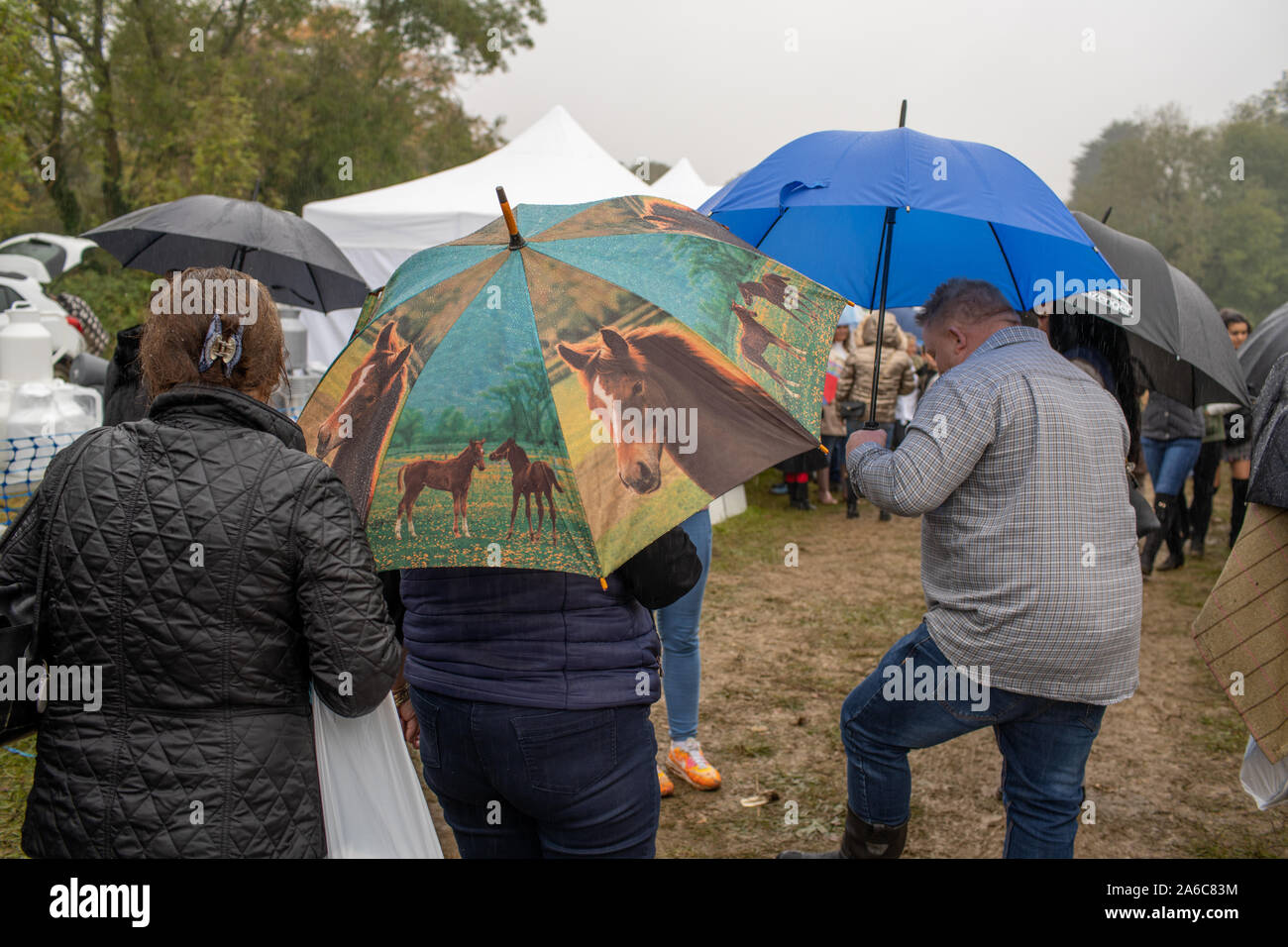 Stow Horse Fair Cotswolds High Resolution Stock Photography and Images ...