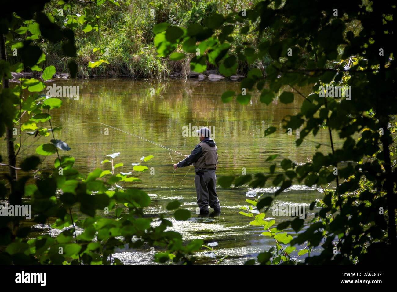 Fly bites a person hi-res stock photography and images - Alamy