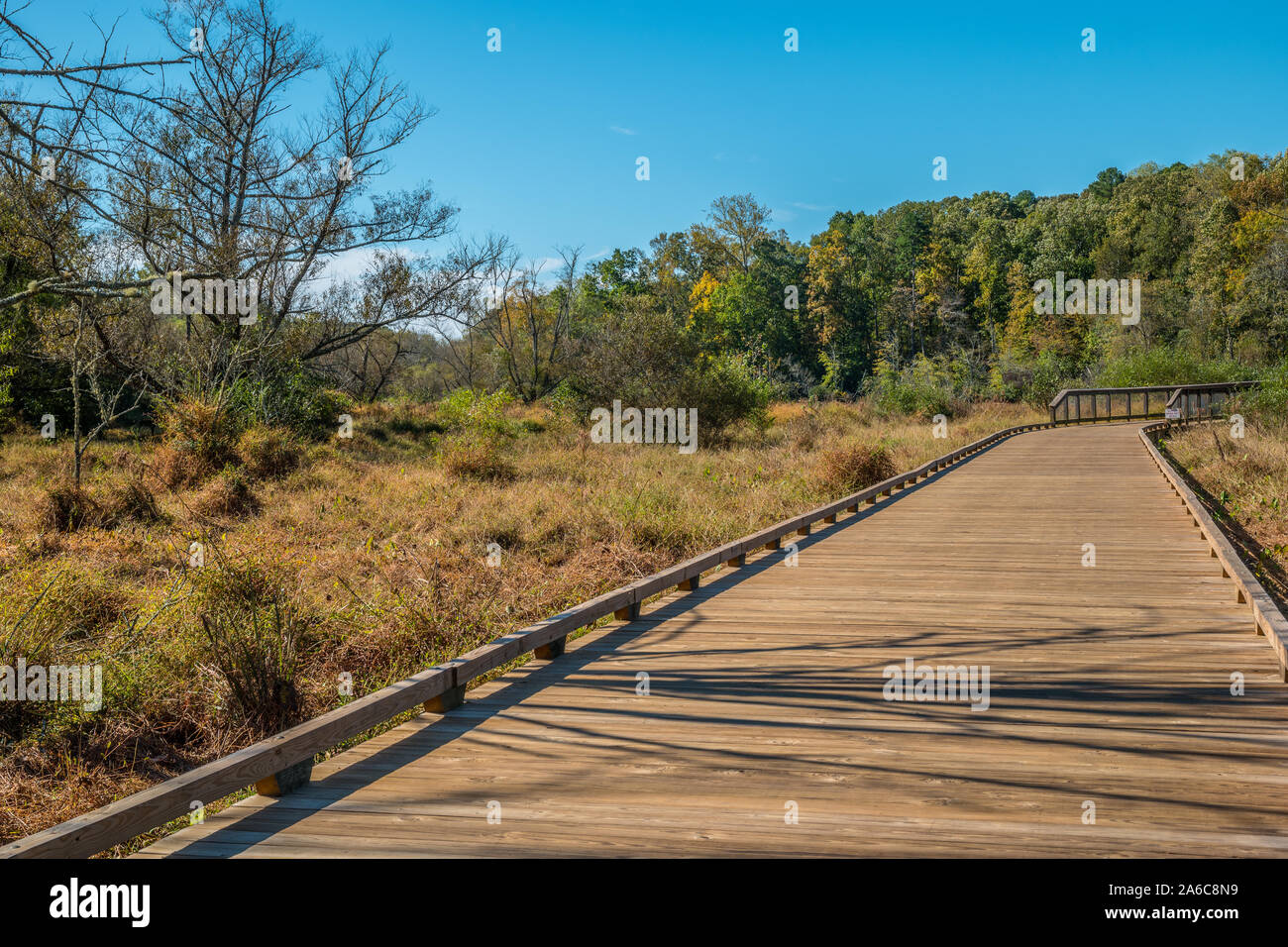 Wooden pathway over swamp hi-res stock photography and images - Alamy