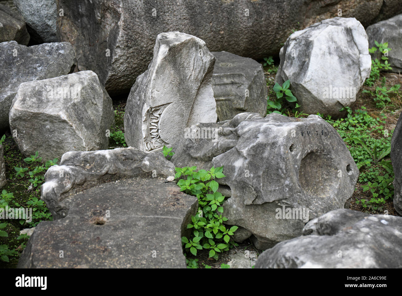 Ancient Roman ruins in Portico d'Ottavia in Rome, Italy Stock Photo - Alamy