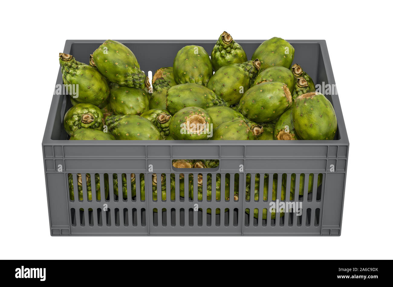 Prickly pear in full Cut Out Stock Images & Pictures - Alamy
