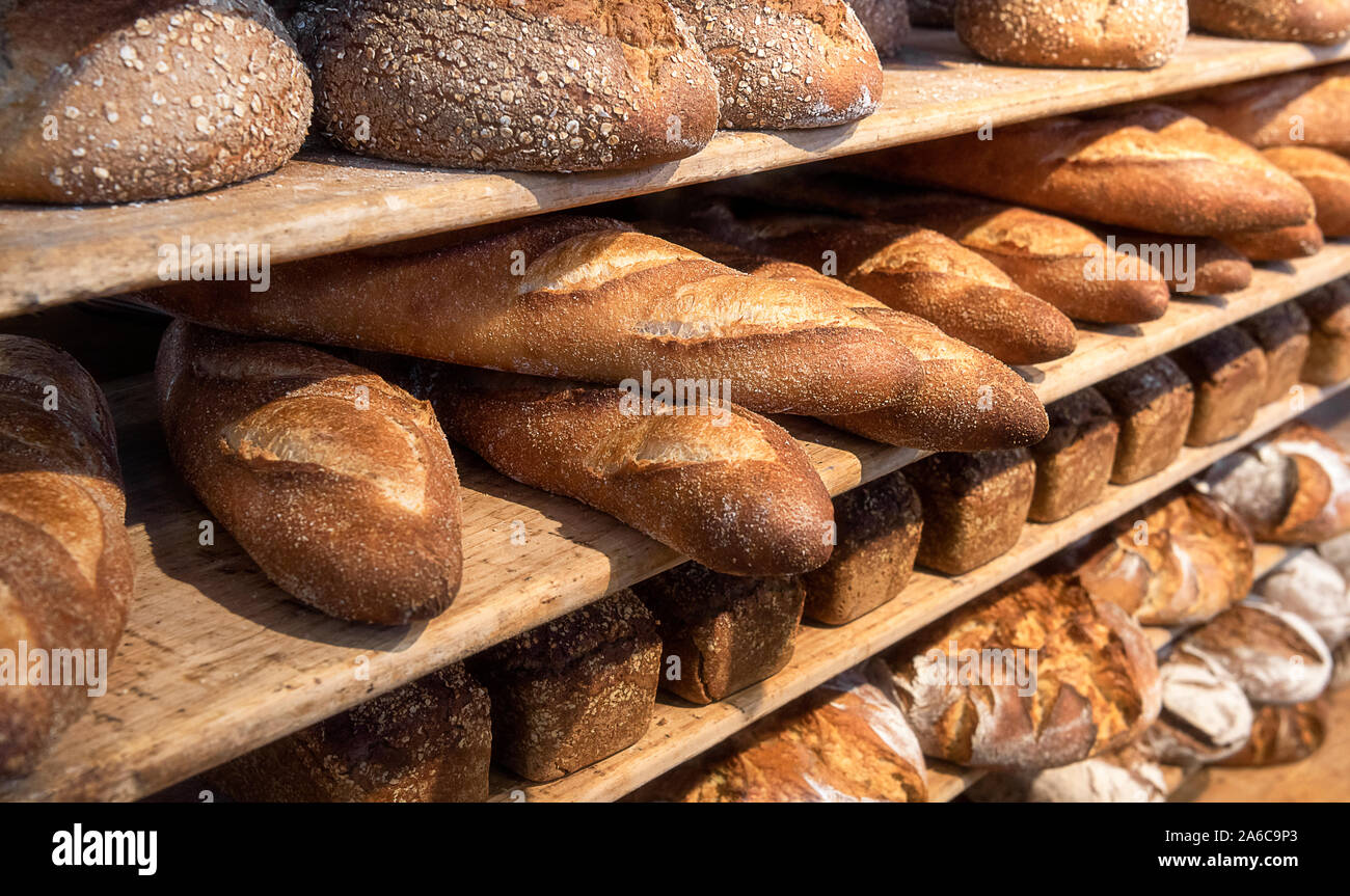 Assortments of bread, freshly baked on wooden shelves. Piles of breads ...