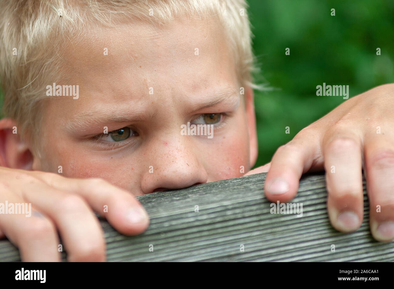 A young boy is looking over a fence Stock Photo - Alamy