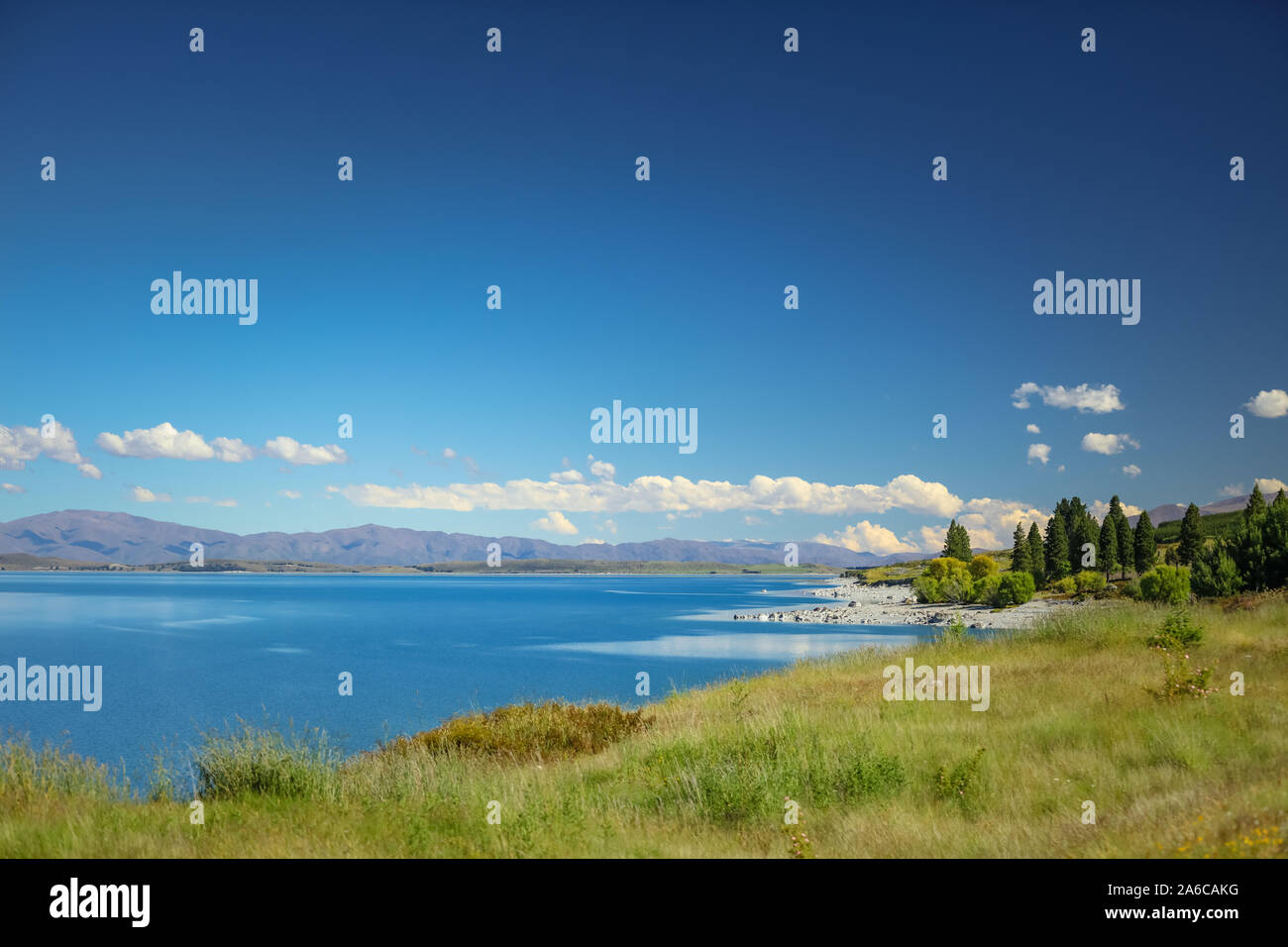Lake Pukaki in New Zealand Stock Photo - Alamy