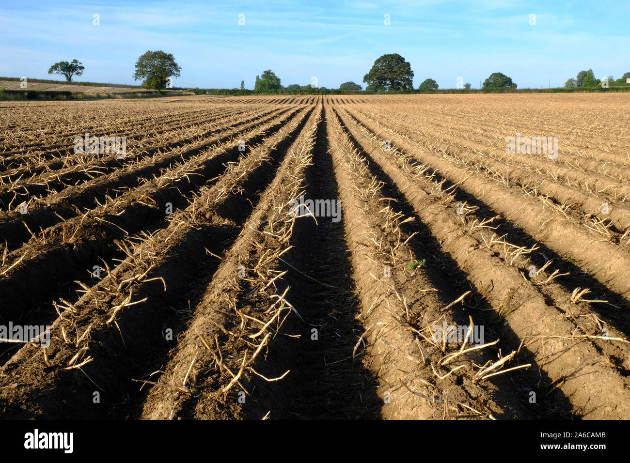 Ploughed Stock Photos & Ploughed Stock Images - Alamy