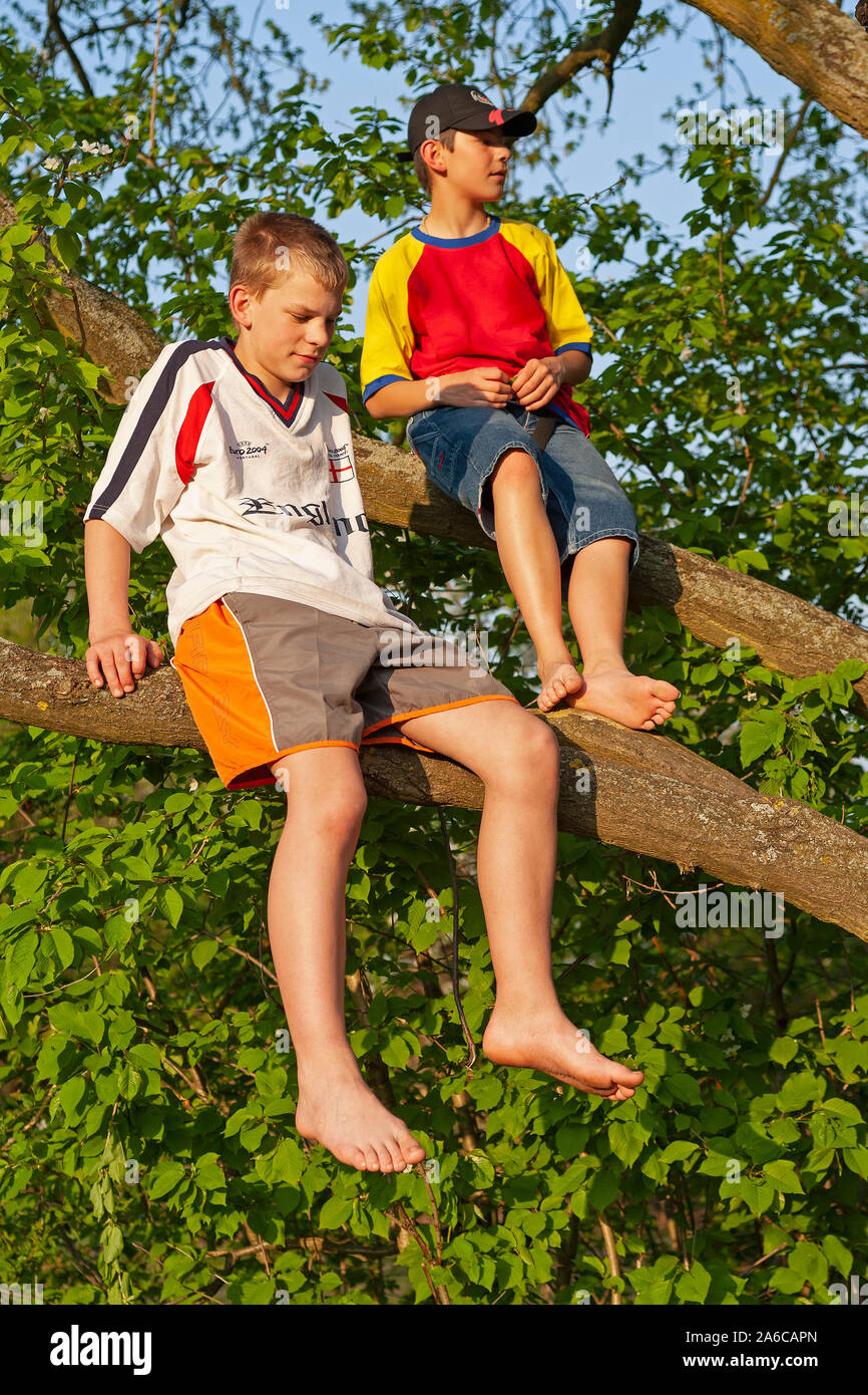 Two young boys sitting in a tree Stock Photo - Alamy
