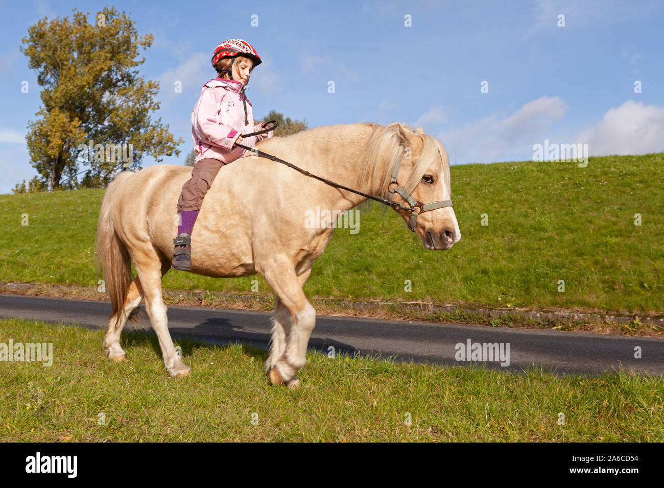 Pony riding hi-res stock photography and images - Alamy