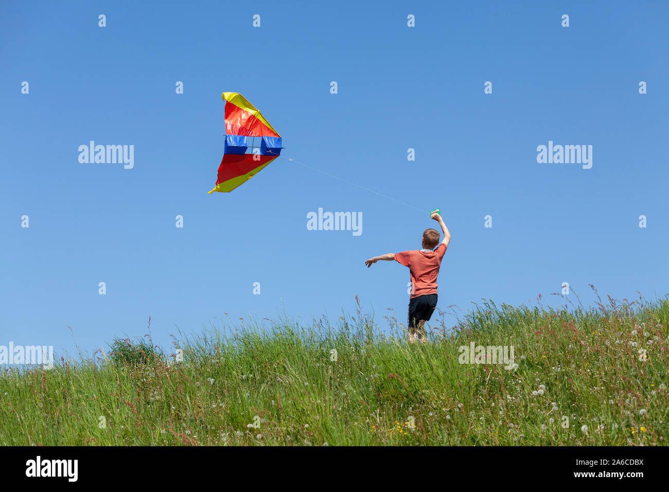 A young boy is flying a kite on a meadow Stock Photo - Alamy