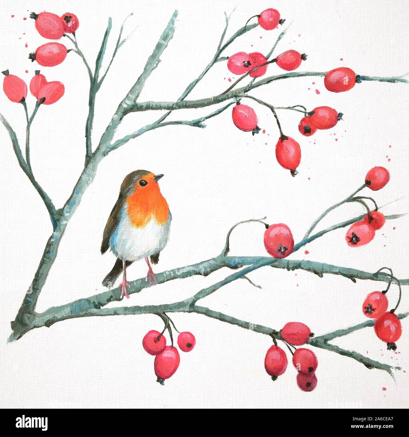 painting of a robin redbreast sitting on a branch with berries Stock ...