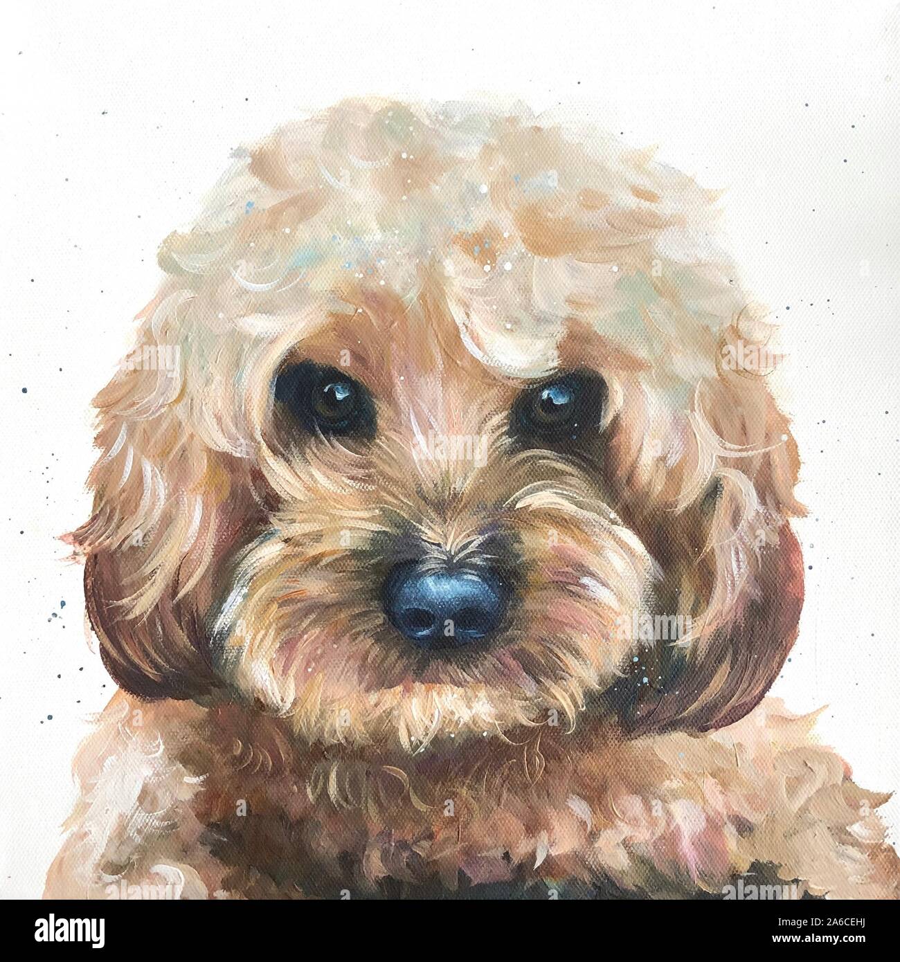 Cockerpoo painting hi-res stock photography and images - Alamy