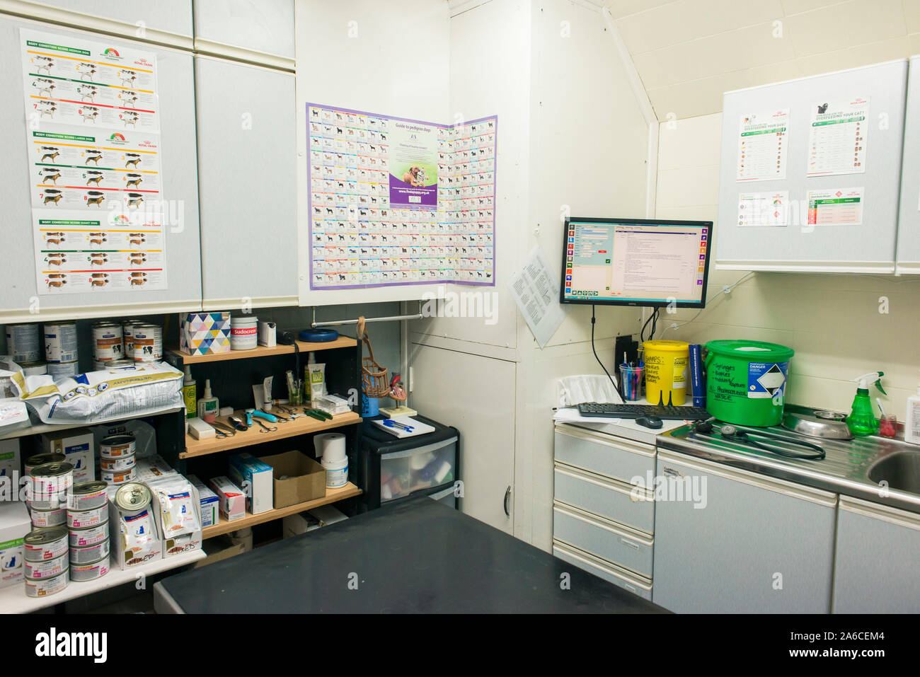 Inside a vet's surgery treatment room Stock Photo - Alamy