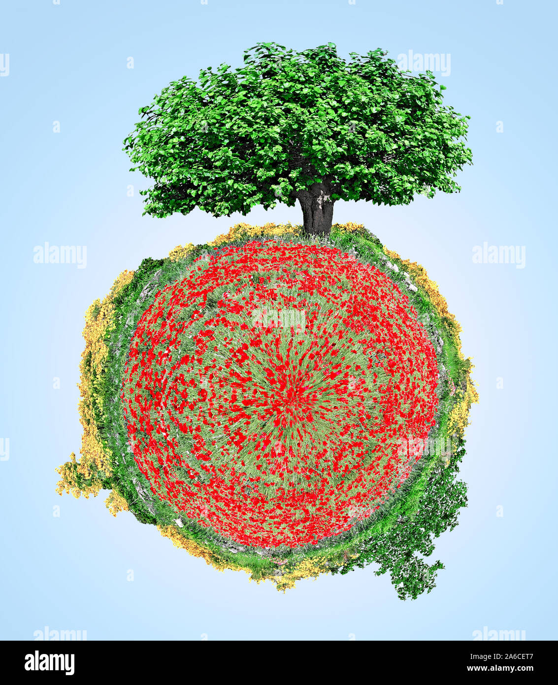 Globalization And Environment