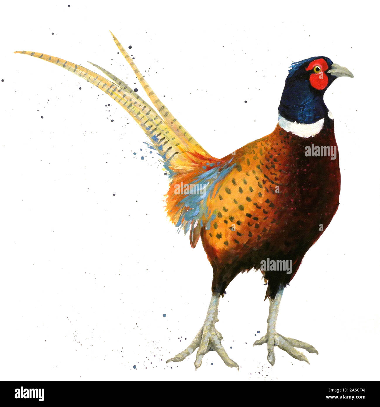 Nature standing proud Cut Out Stock Images & Pictures - Alamy