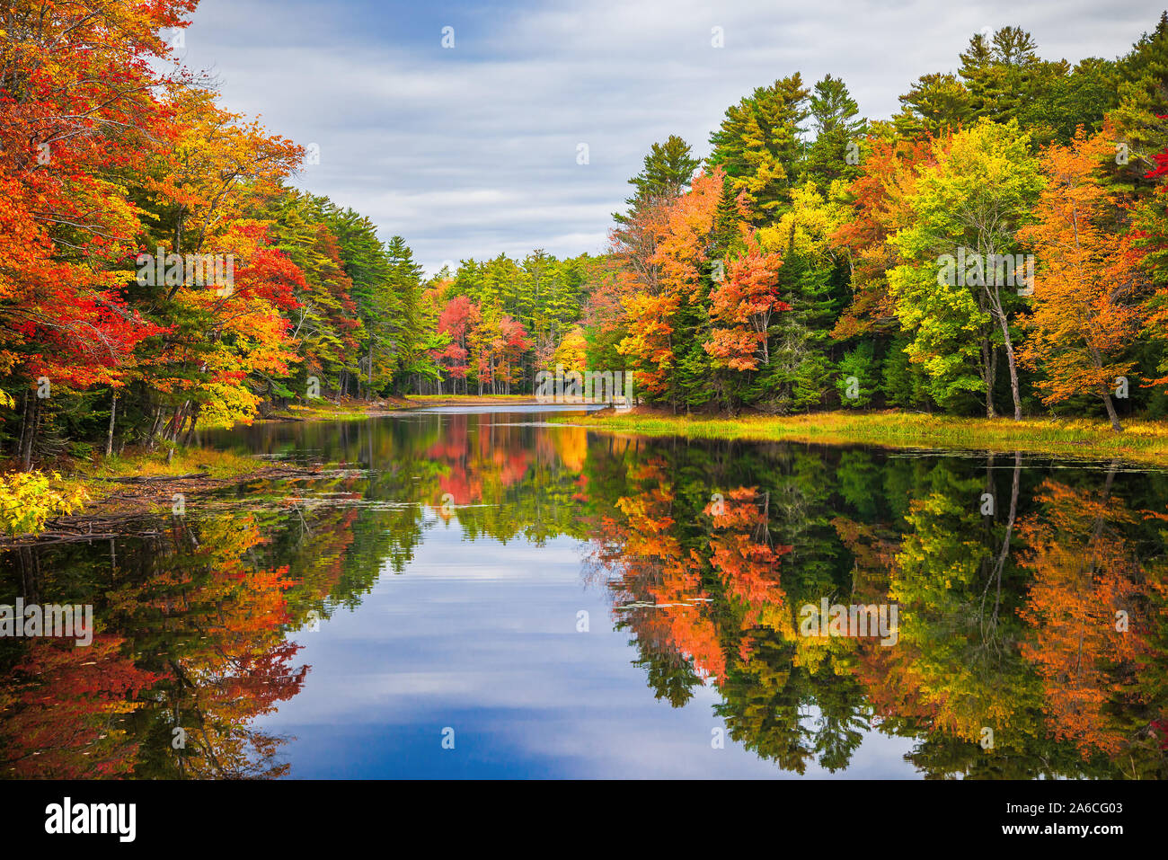 Colorful foliage tree reflections in calm pond water on a beautiful autumn day in New England ...