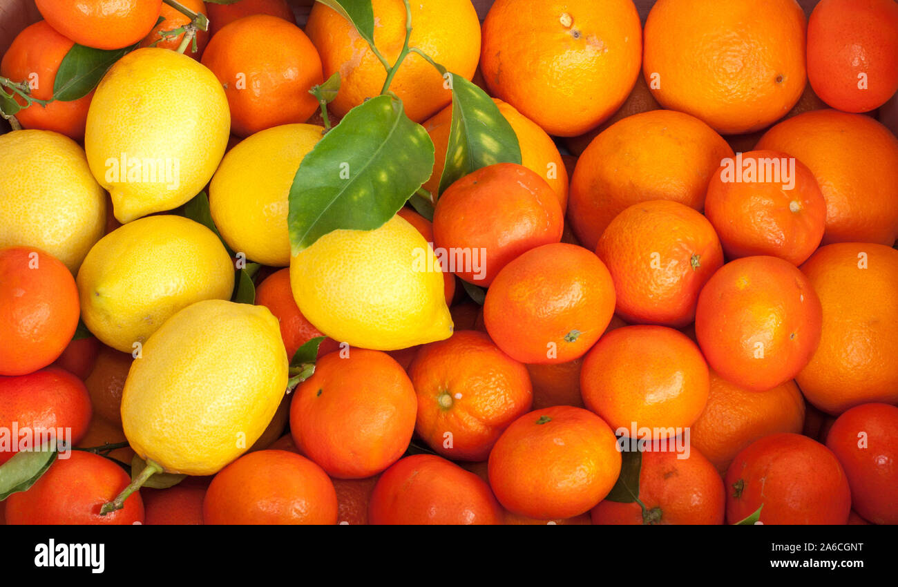 Citric fruits hi-res stock photography and images - Alamy
