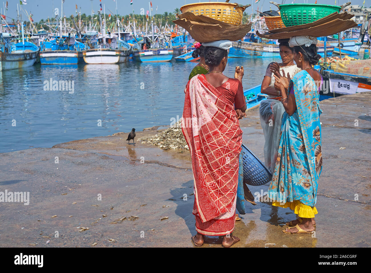 Female fish vendors purchasing fish at the Old Port, Mangalore ...
